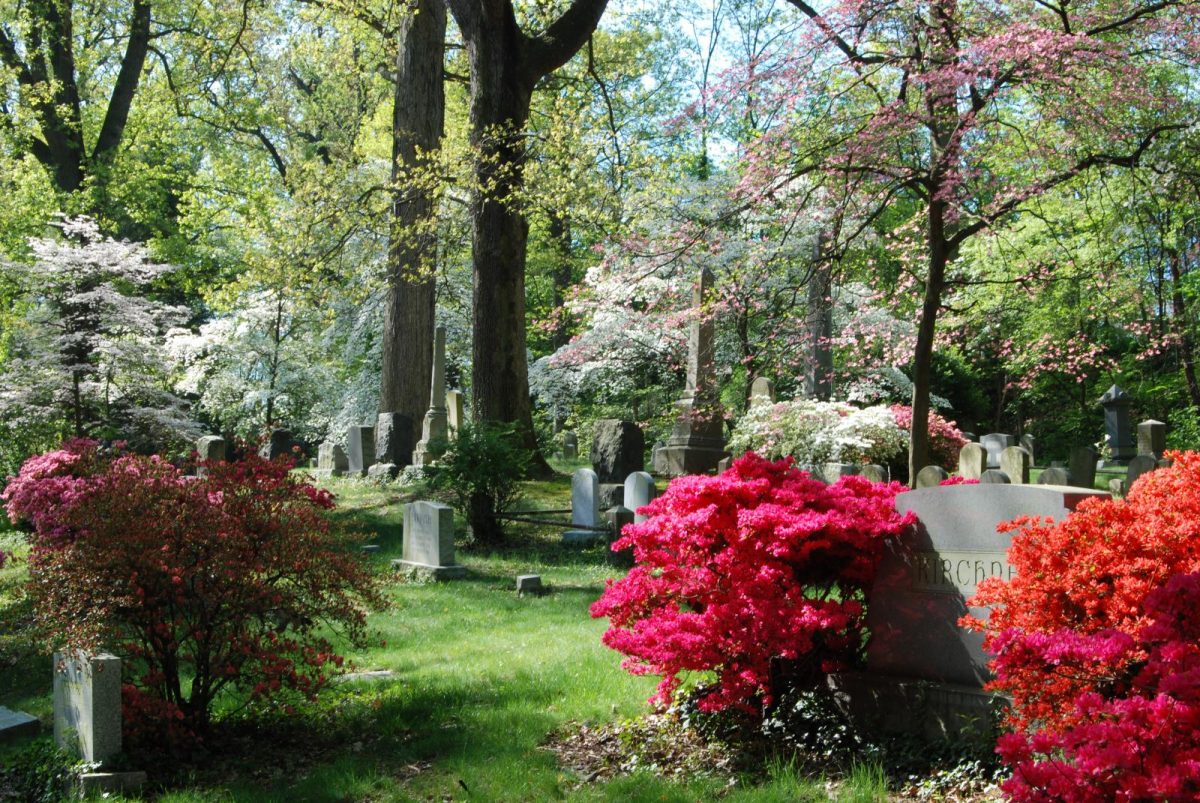 FAQ - Ivy Hill Cemetery